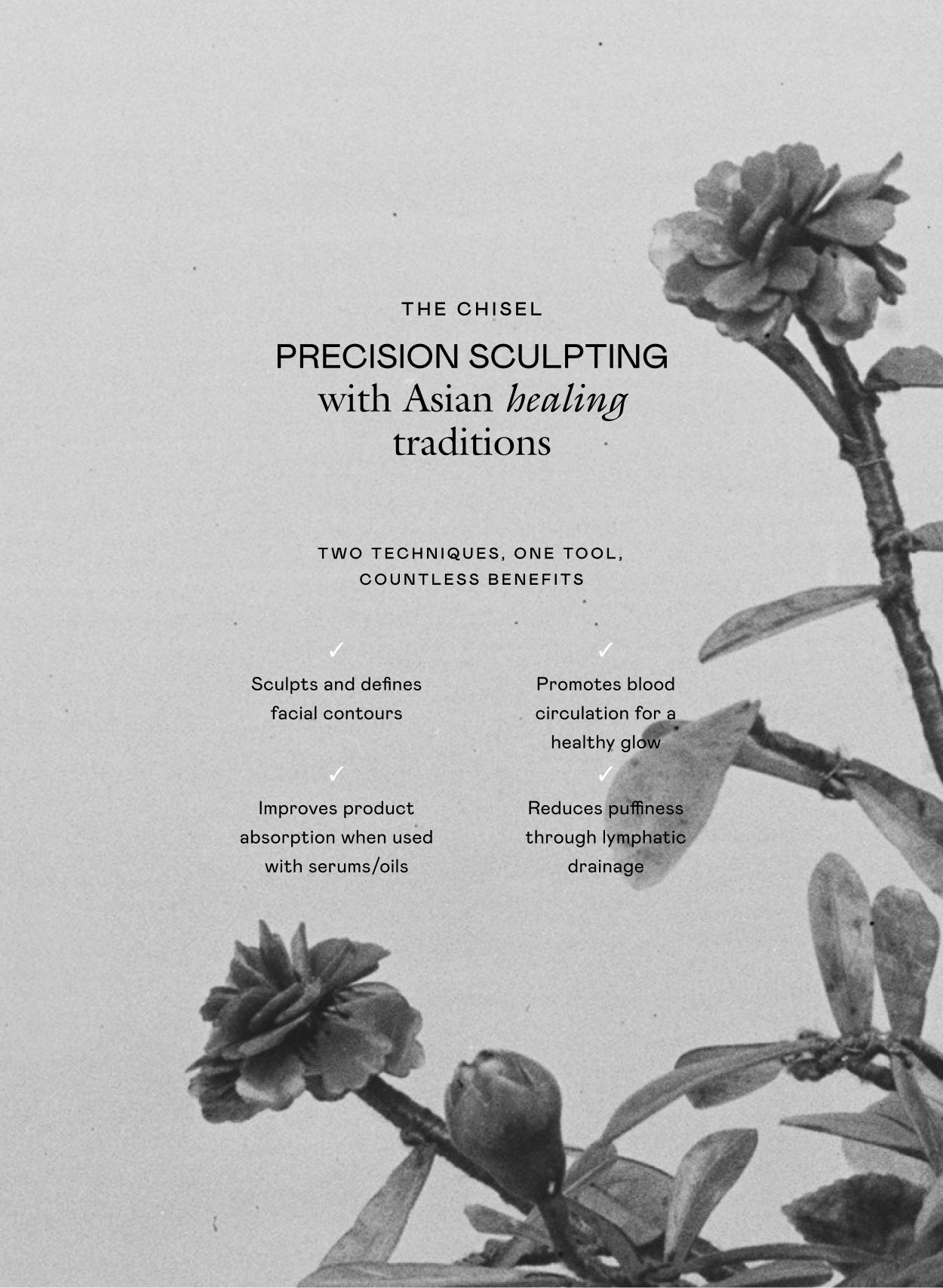 The Chisel | 2-in-1 Jade Roller & Gua Sha Facial Tool | EADEM